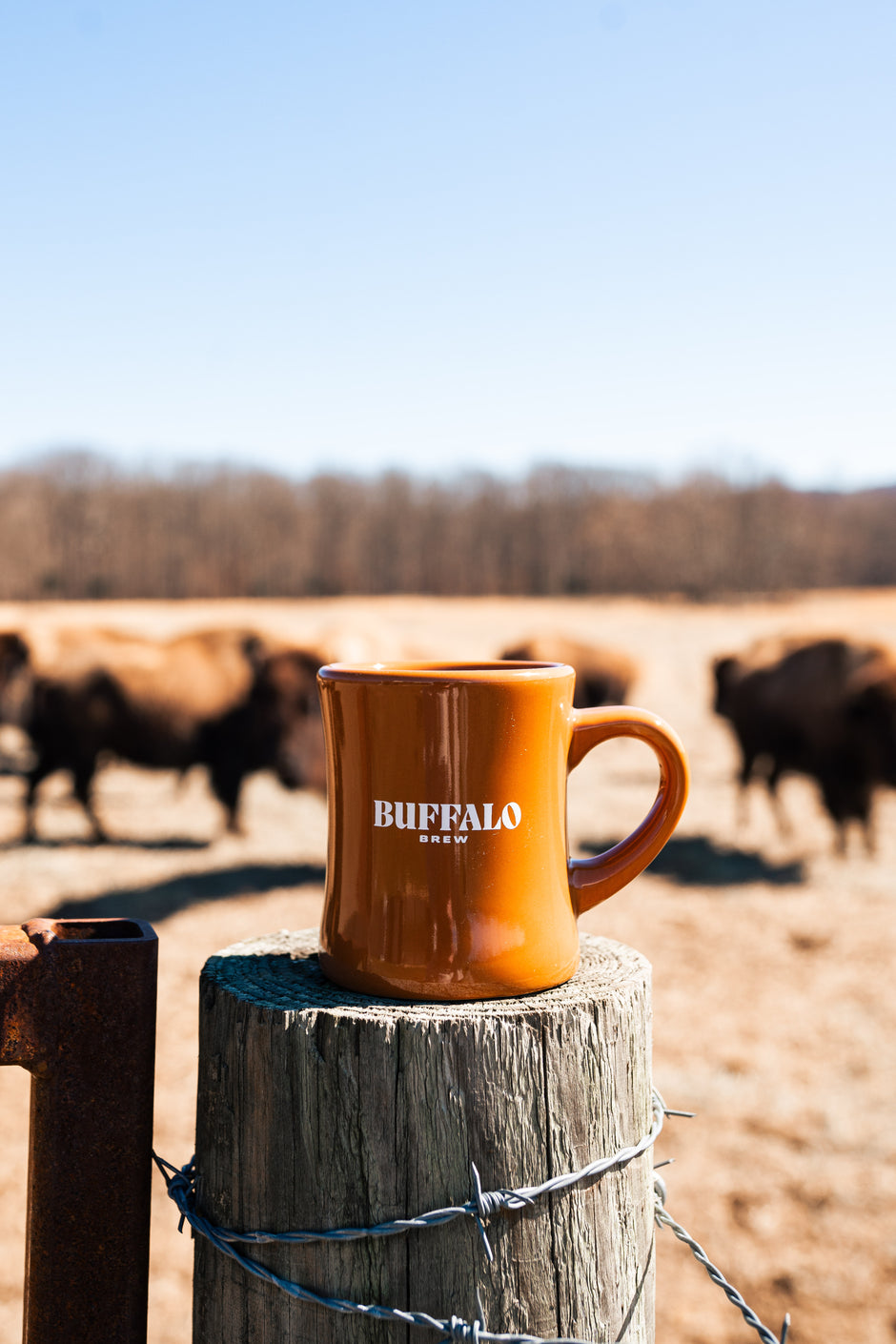 Buffalo Brew Coffee